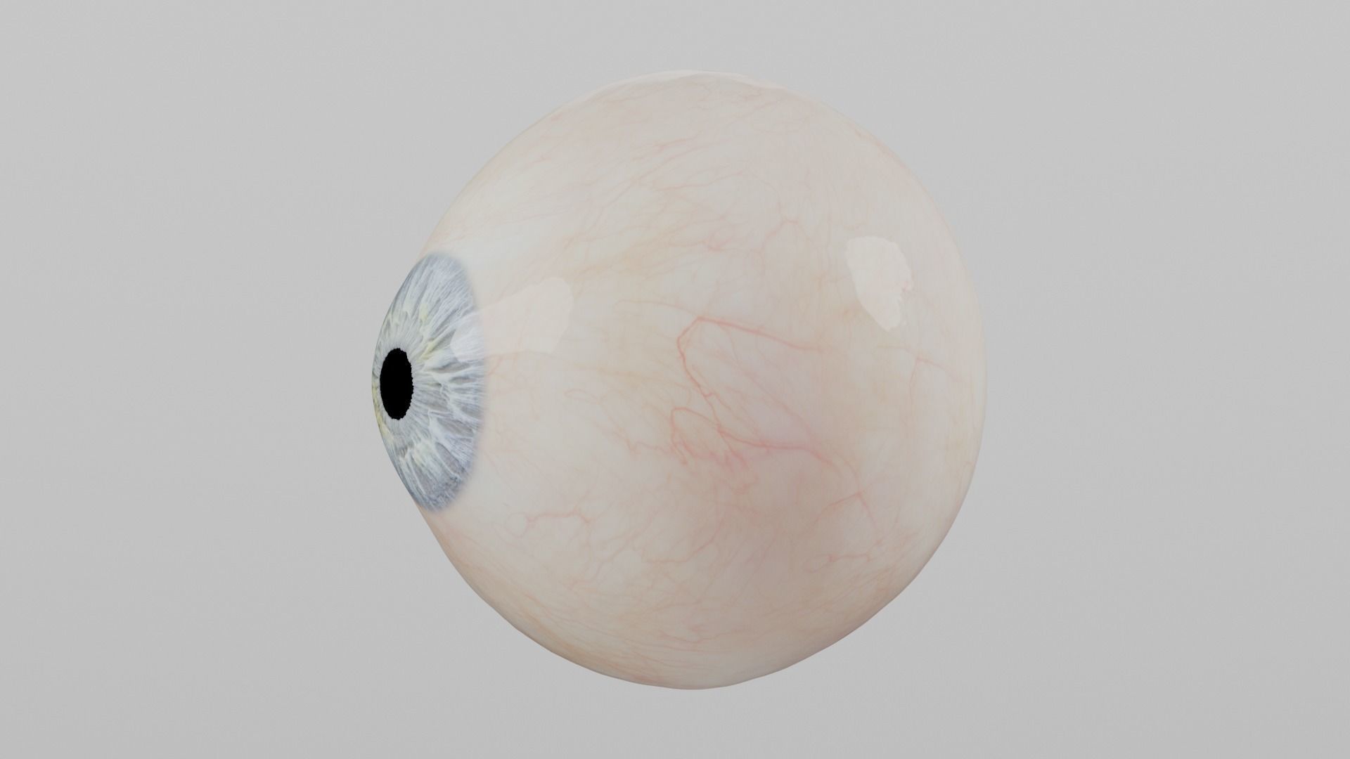 3D model Production-Ready Photorealistic Human Eye - Multicolor VR / AR ...