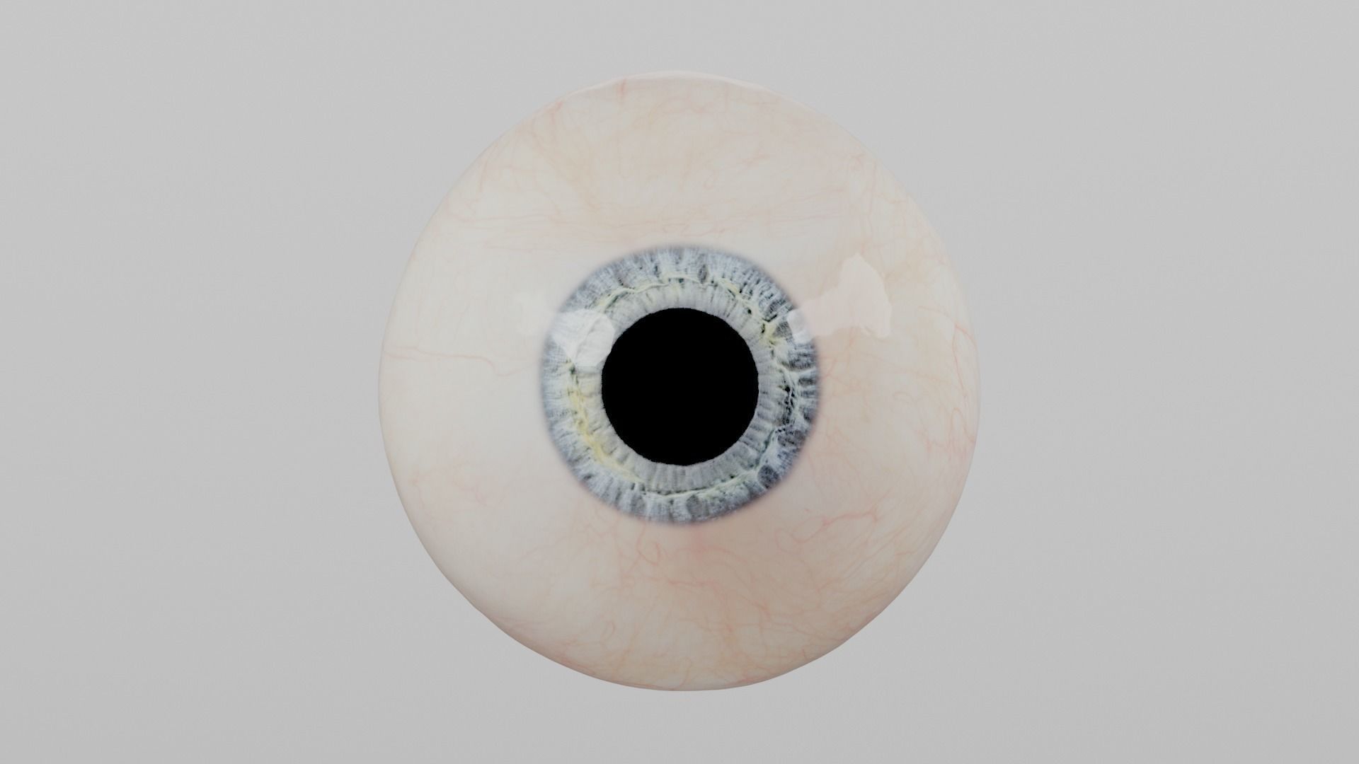 3D model Production-Ready Photorealistic Human Eye - Multicolor VR / AR ...
