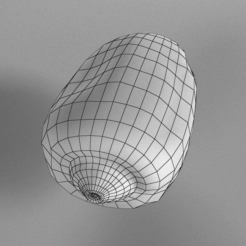 Dates - Date kernel free VR / AR / low-poly 3D model | CGTrader