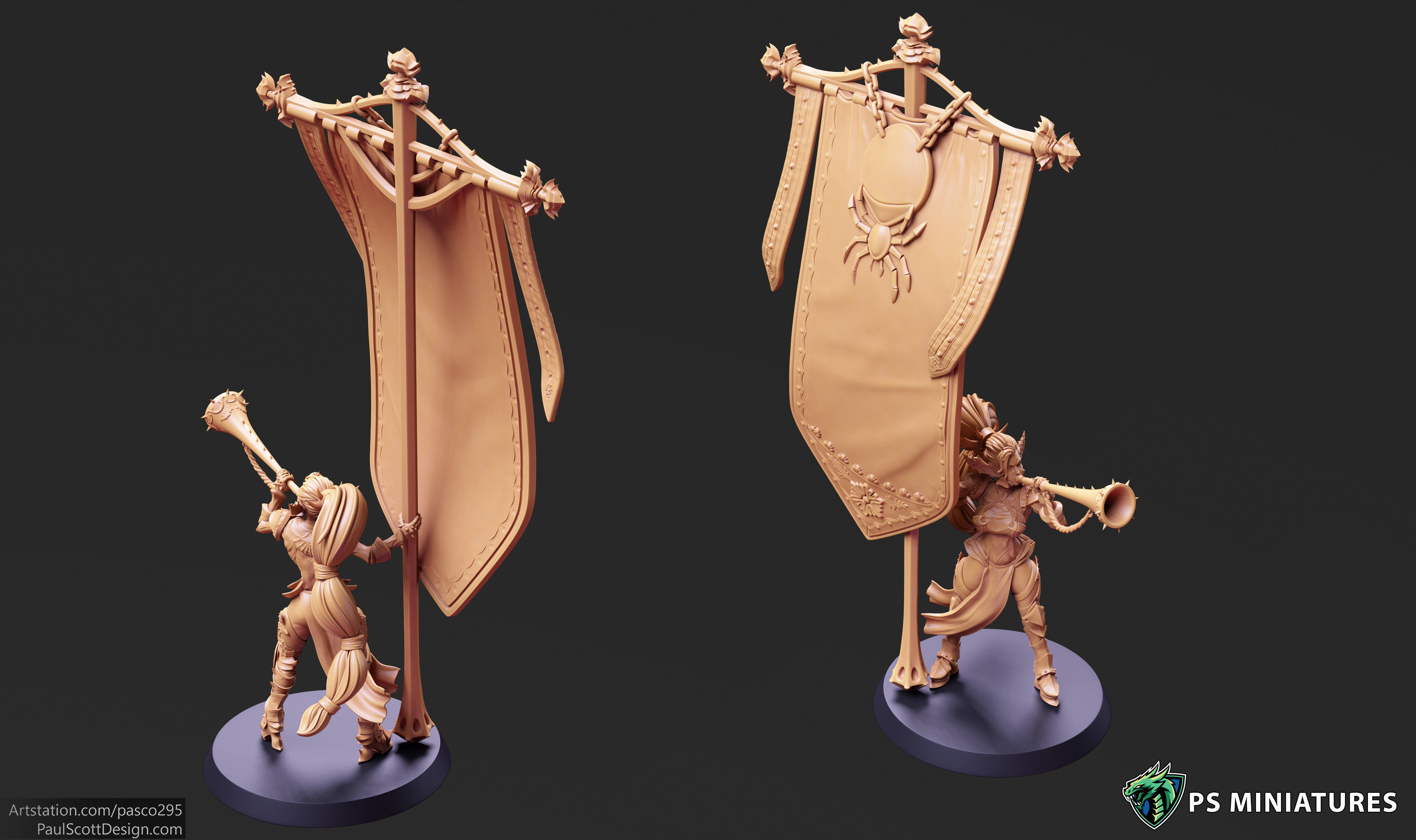 Drow Standard Bearer - 2 Variants and Pinup 3D model 3D printable ...