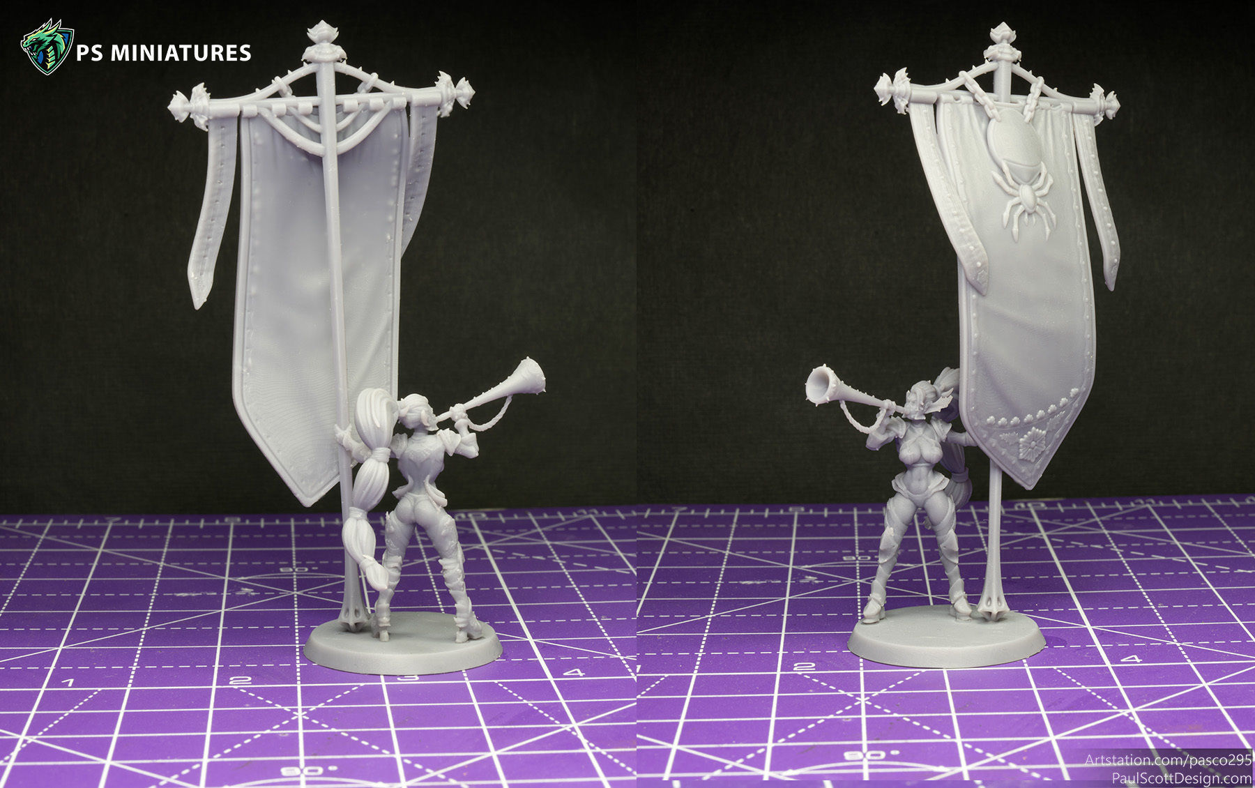 Drow Standard Bearer - 2 Variants and Pinup 3D model 3D printable ...