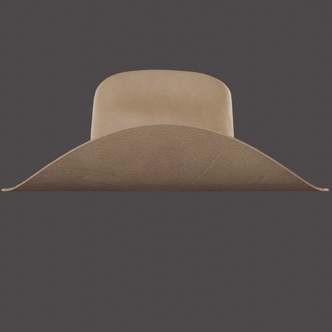 Stetson Western Hat 3D model | CGTrader