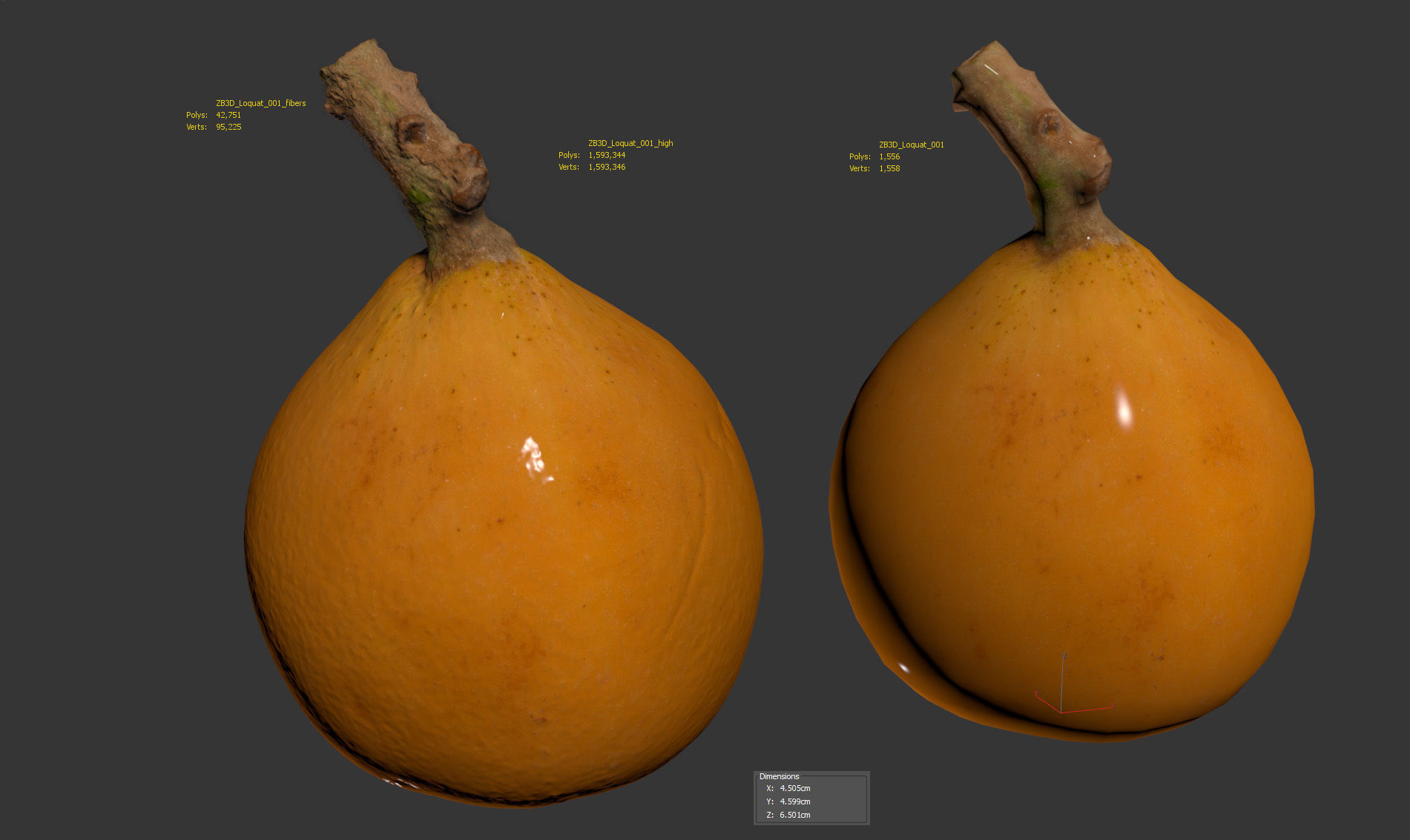 Loquat 3D model | CGTrader