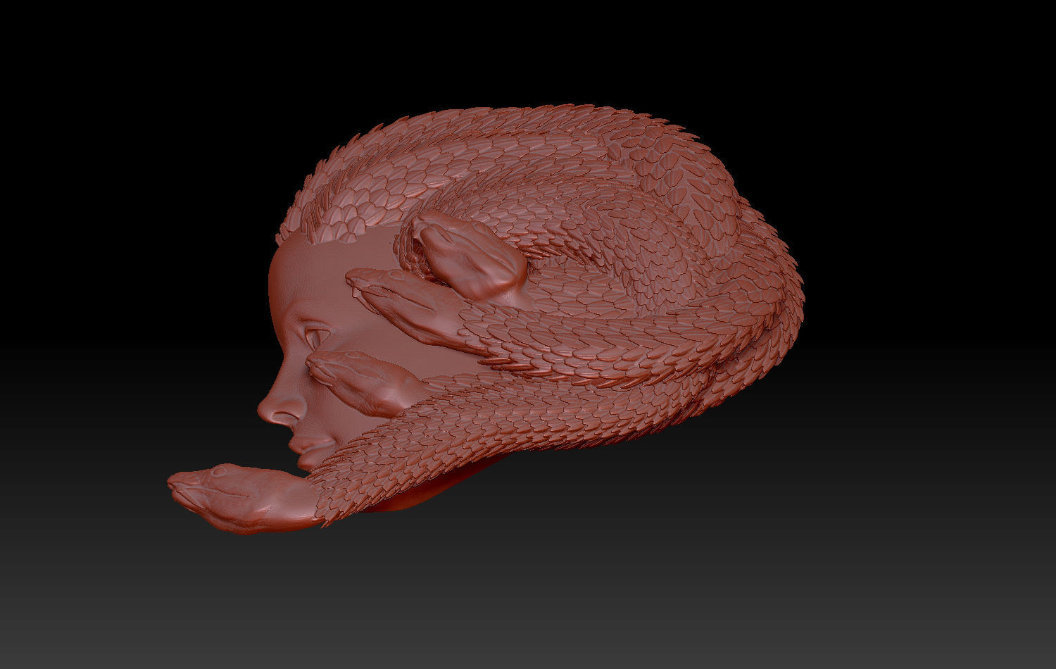 Medusa Gorgon 3D model 3D printable | CGTrader
