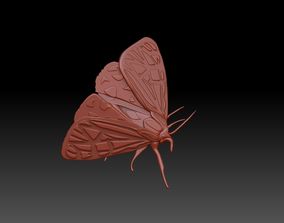 Moth 3D Models | CGTrader