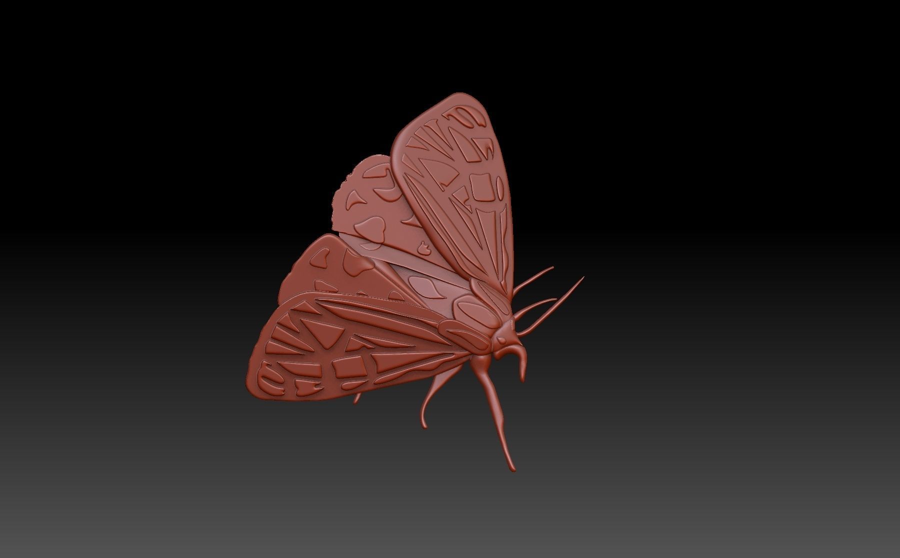 Moth butterfly 3D model 3D printable | CGTrader
