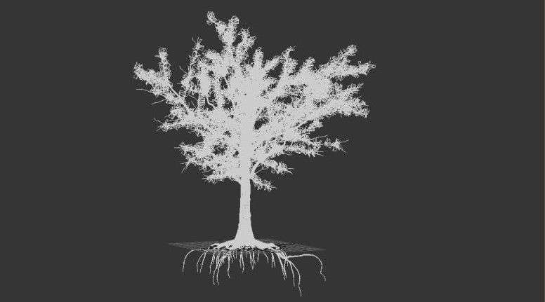 3D model Autumn tree with deep root VR / AR / low-poly | CGTrader