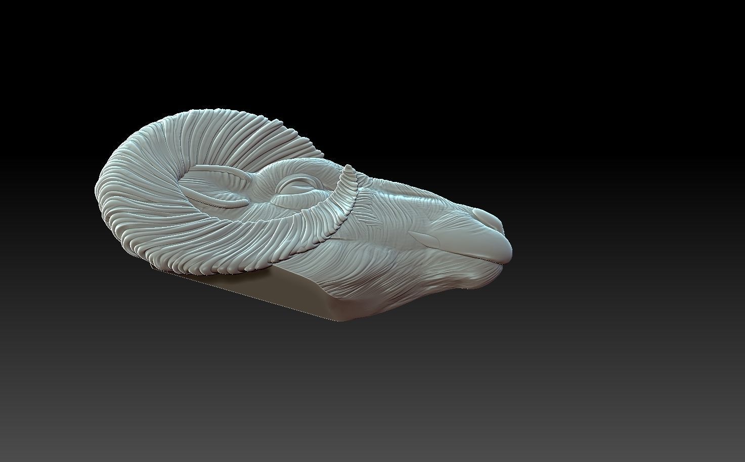 Mountain sheep head 3D model 3D printable | CGTrader