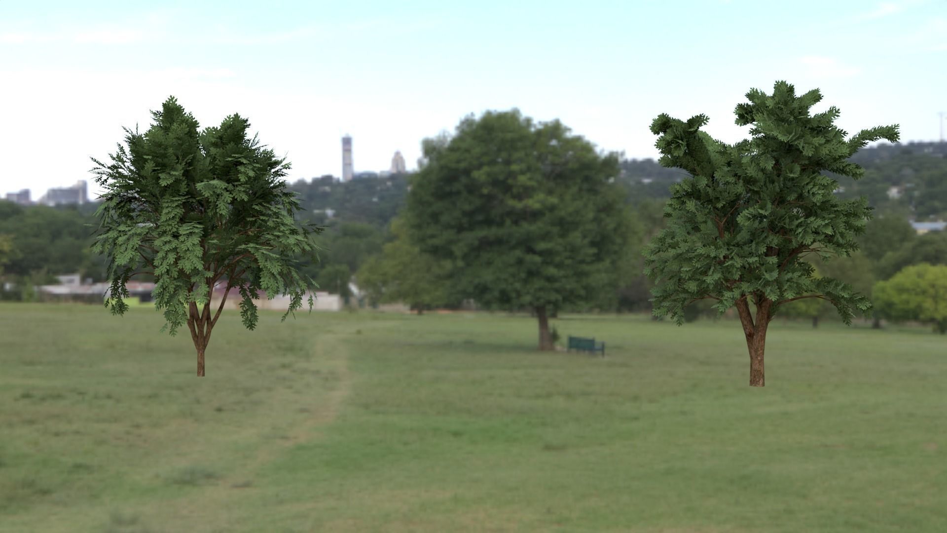 Realistic tree two trees free VR / AR / low-poly 3D model animated ...