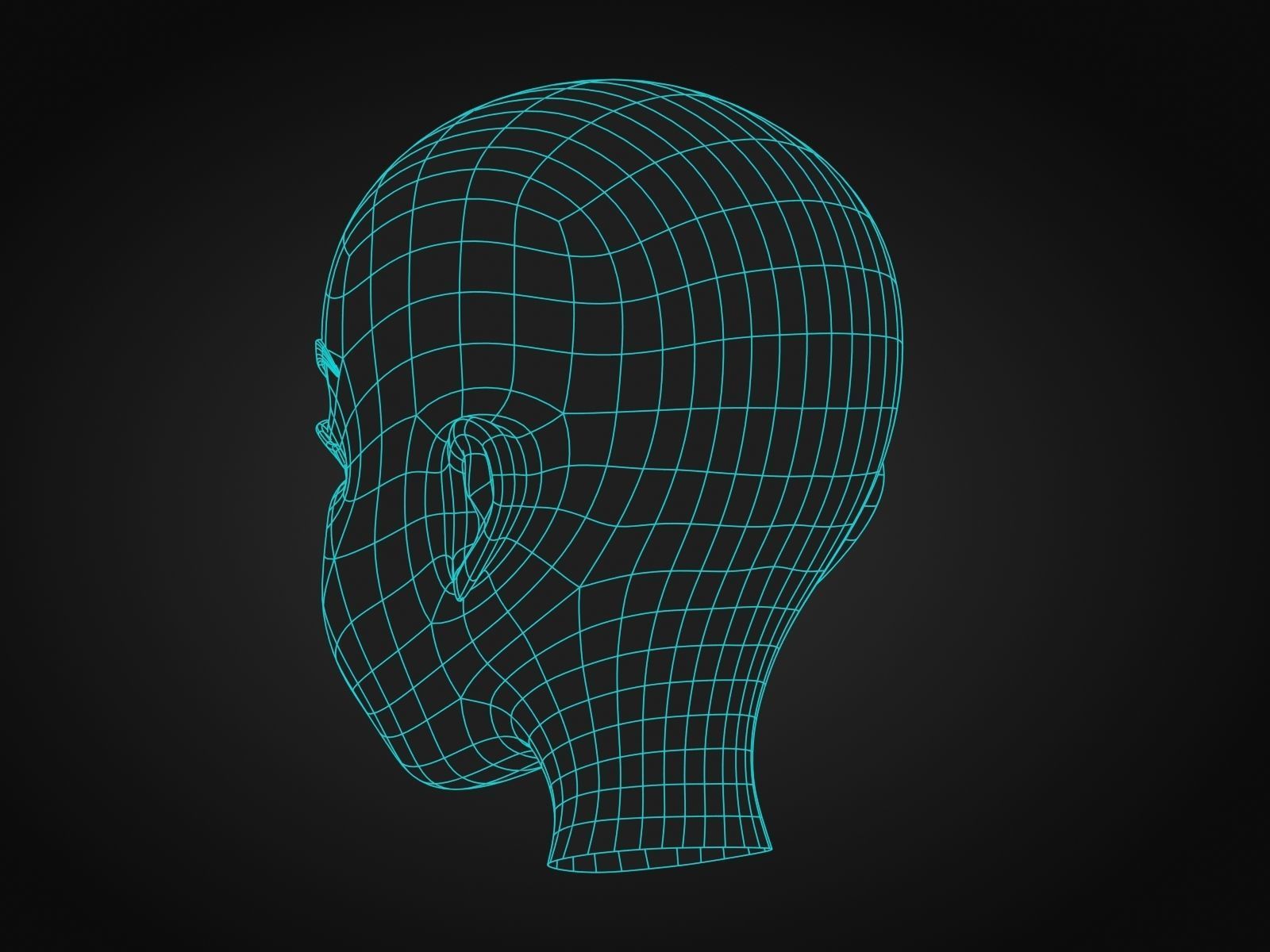 3D model Base Mesh Stylized Girl Head VR / AR / low-poly | CGTrader