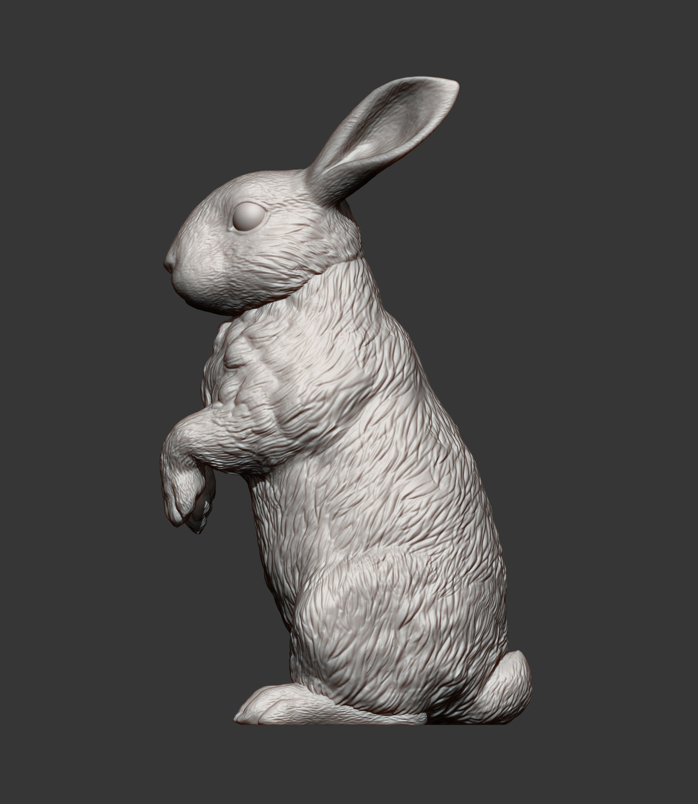 Rabbit bunny 3D model 3D printable | CGTrader