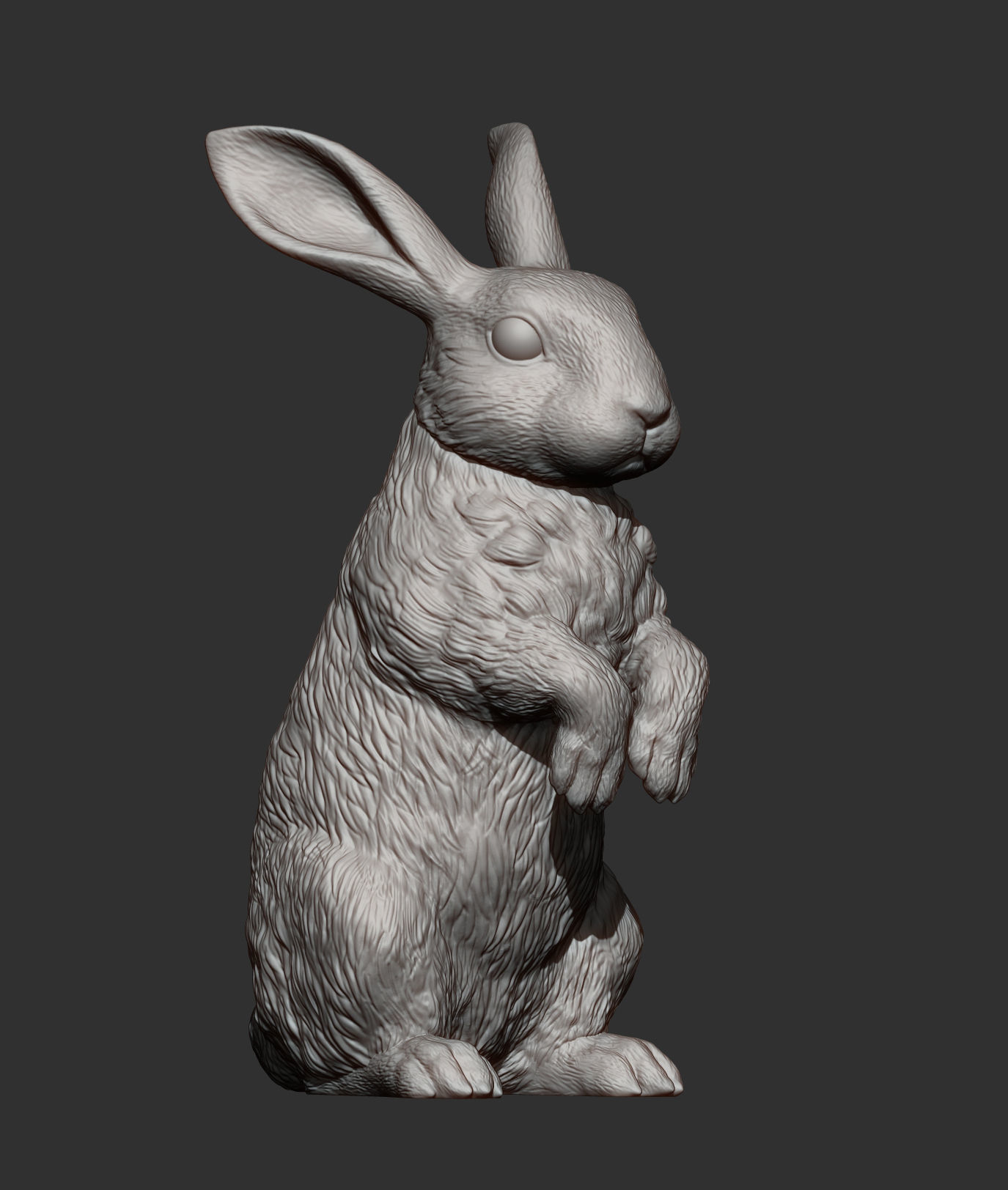 Rabbit bunny 3D model 3D printable | CGTrader