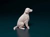 Welsh Springer spaniel 3D model 3D printable | CGTrader