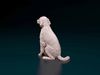 Welsh Springer spaniel 3D model 3D printable | CGTrader