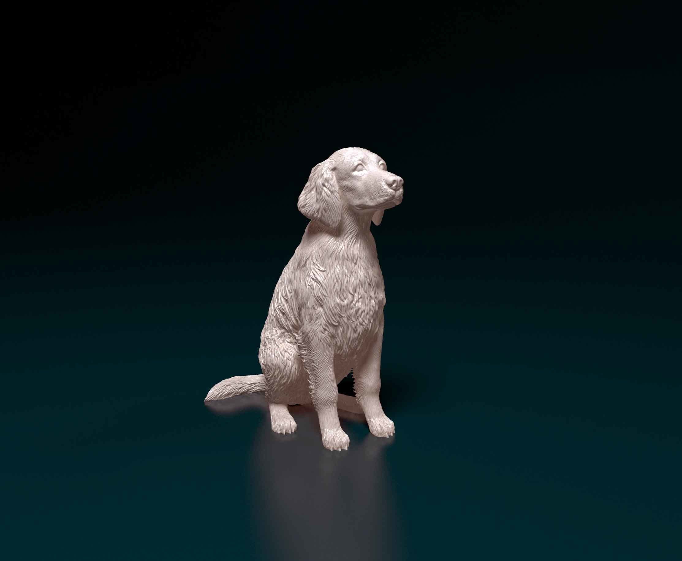Welsh Springer spaniel 3D model 3D printable | CGTrader