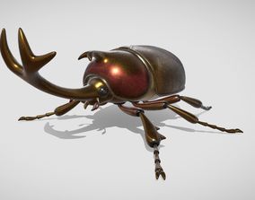 Beetle 3D Models | CGTrader
