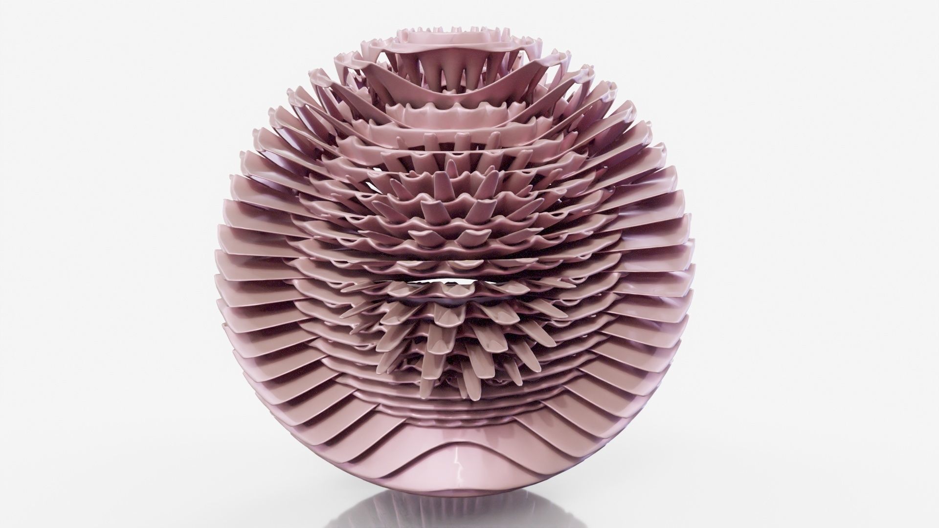 Sunstar paper sculpture 3D model | CGTrader