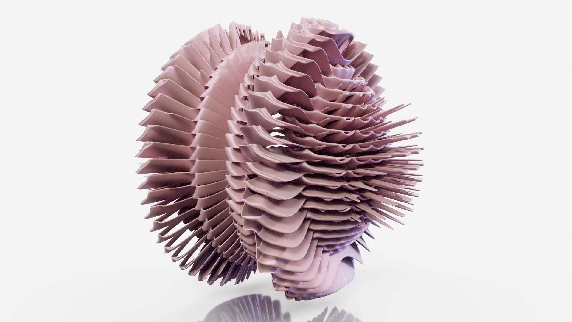 Sunstar paper sculpture 3D model | CGTrader