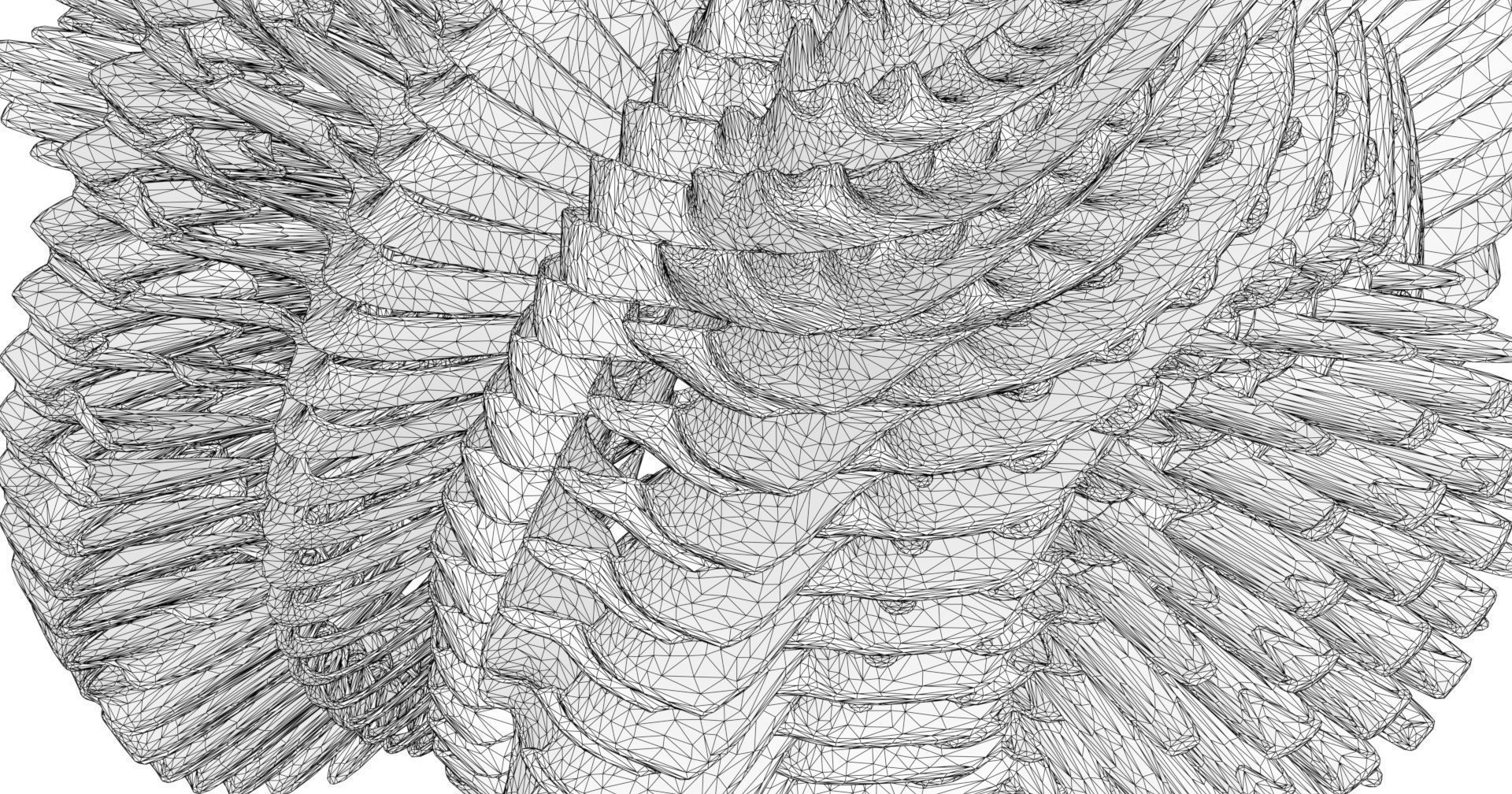 Sunstar paper sculpture 3D model | CGTrader