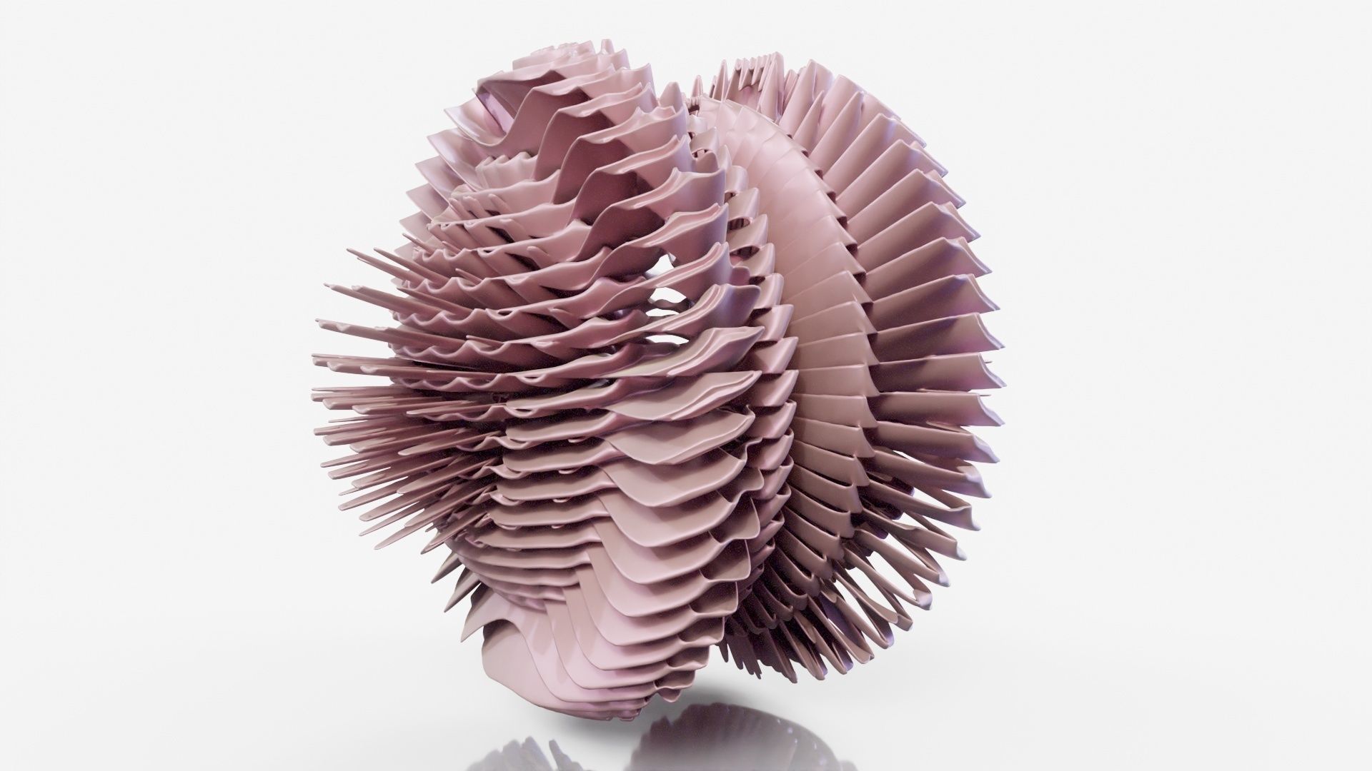 Sunstar paper sculpture 3D model | CGTrader