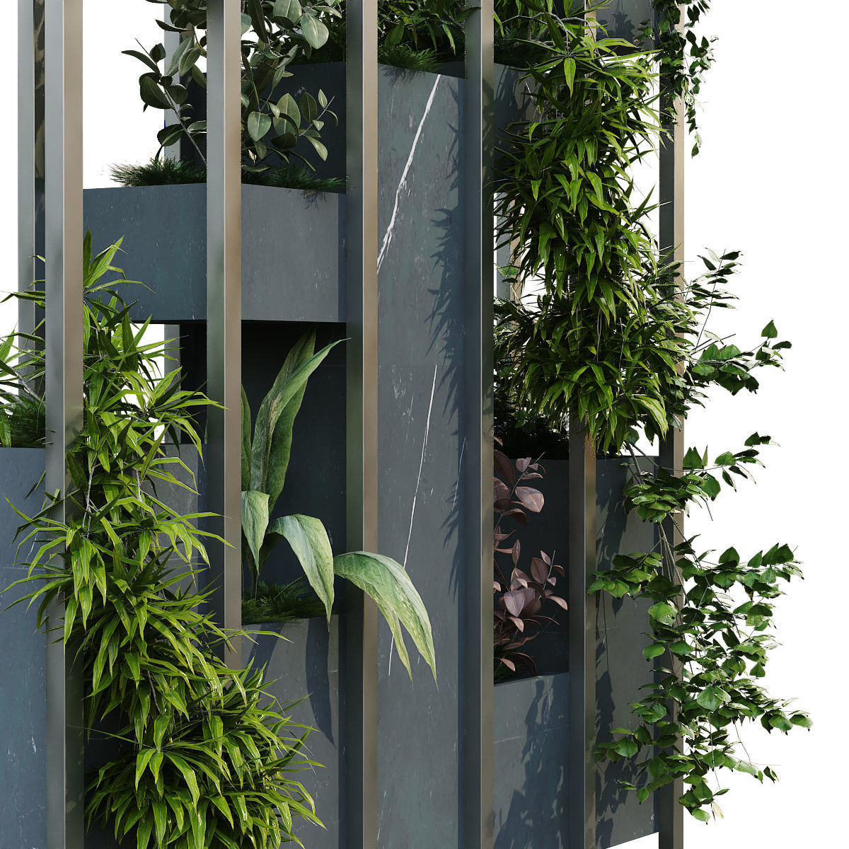 vertical plant set 236 3D model | CGTrader