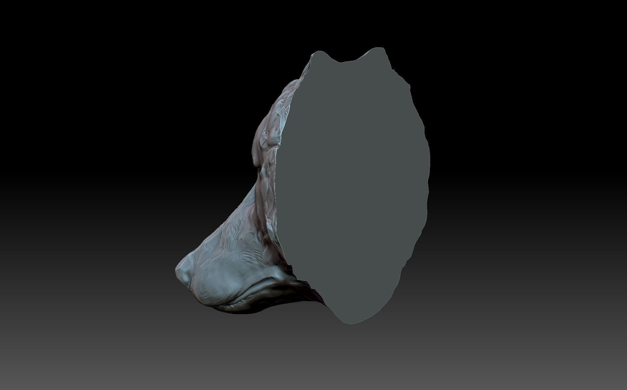 The wolf muzzle 3D model 3D printable | CGTrader