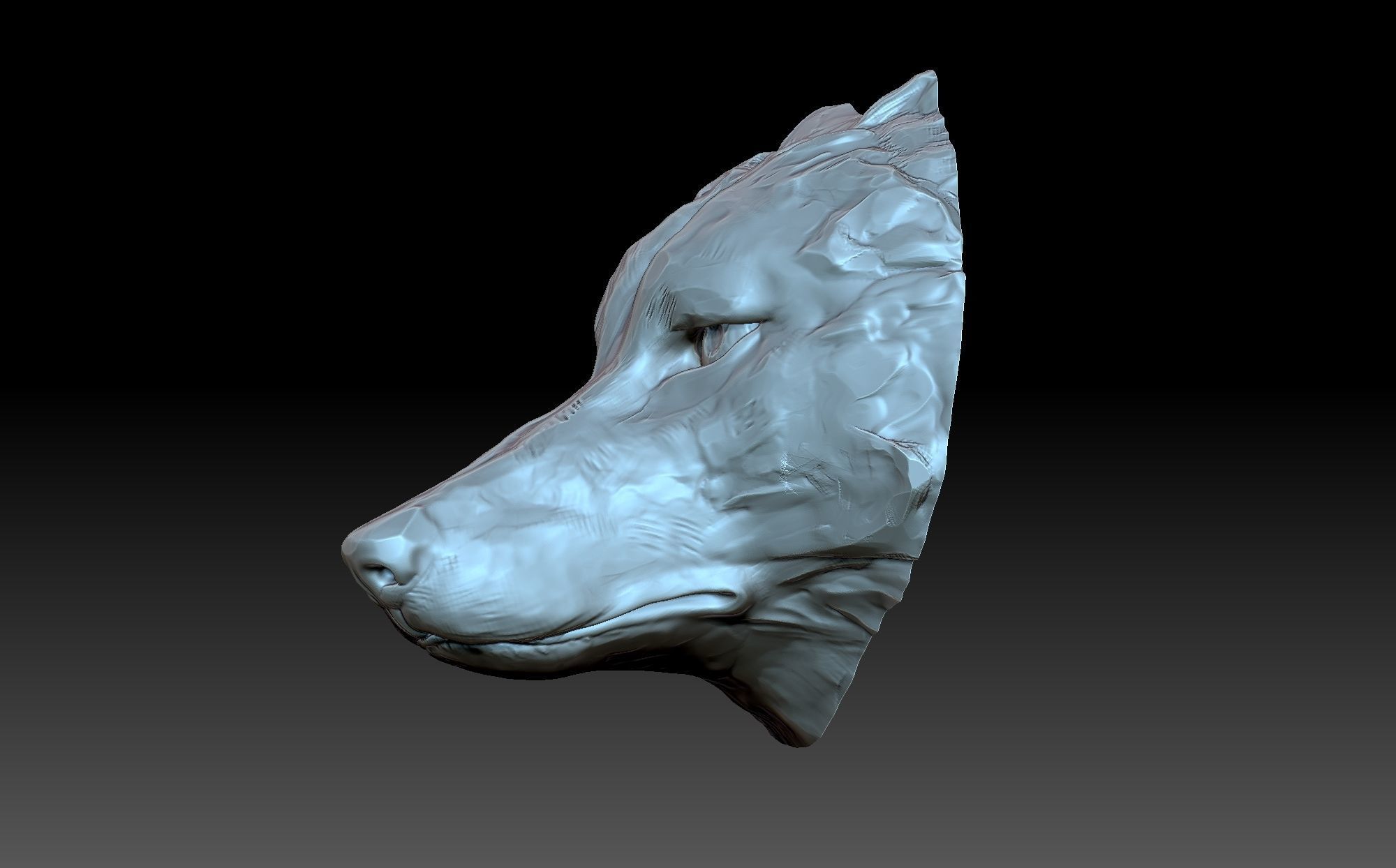 The wolf muzzle 3D model 3D printable | CGTrader