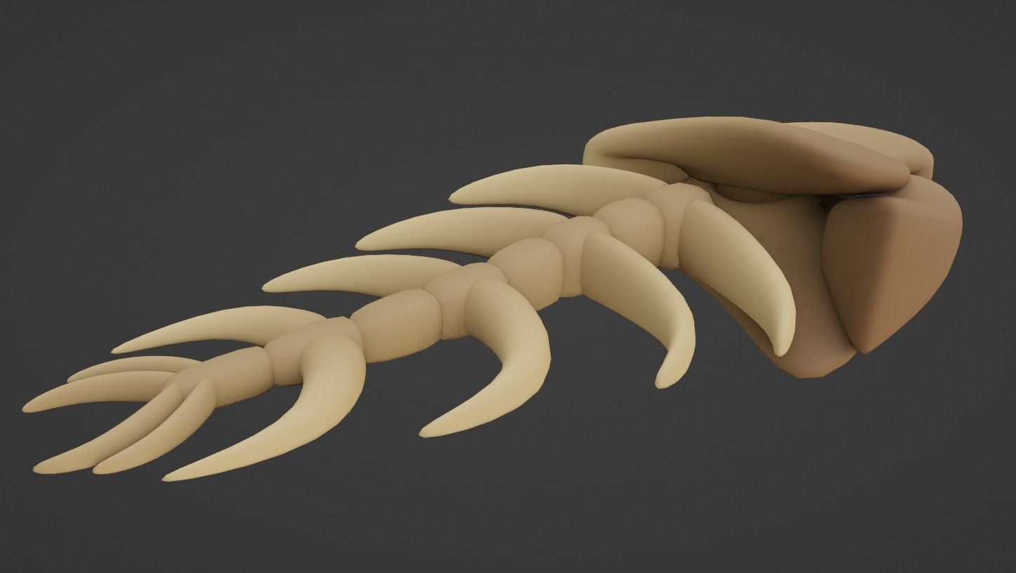 Cartoon Fish Spine 3D model | CGTrader