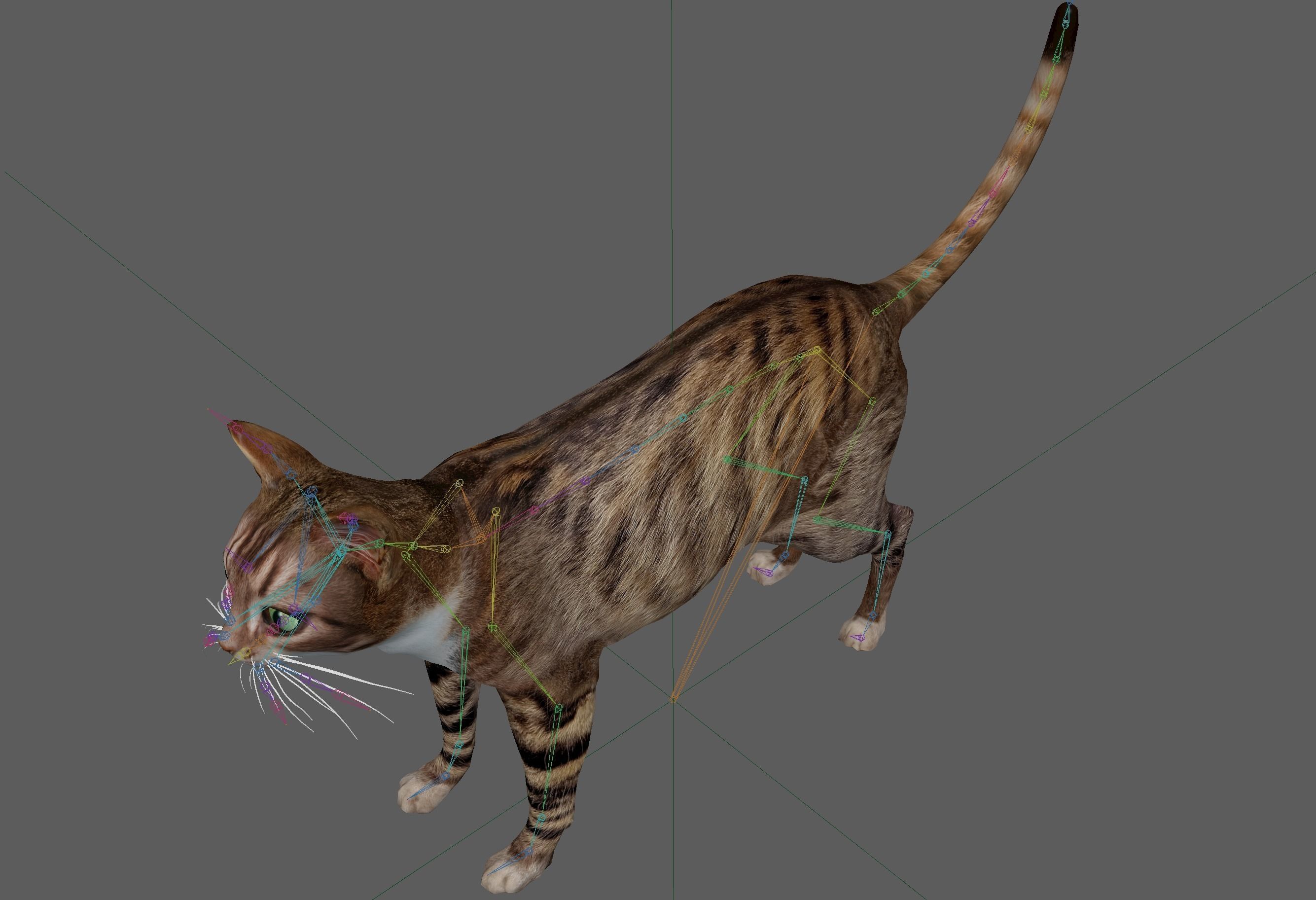 3D model Cat Rig VR / AR / low-poly | CGTrader
