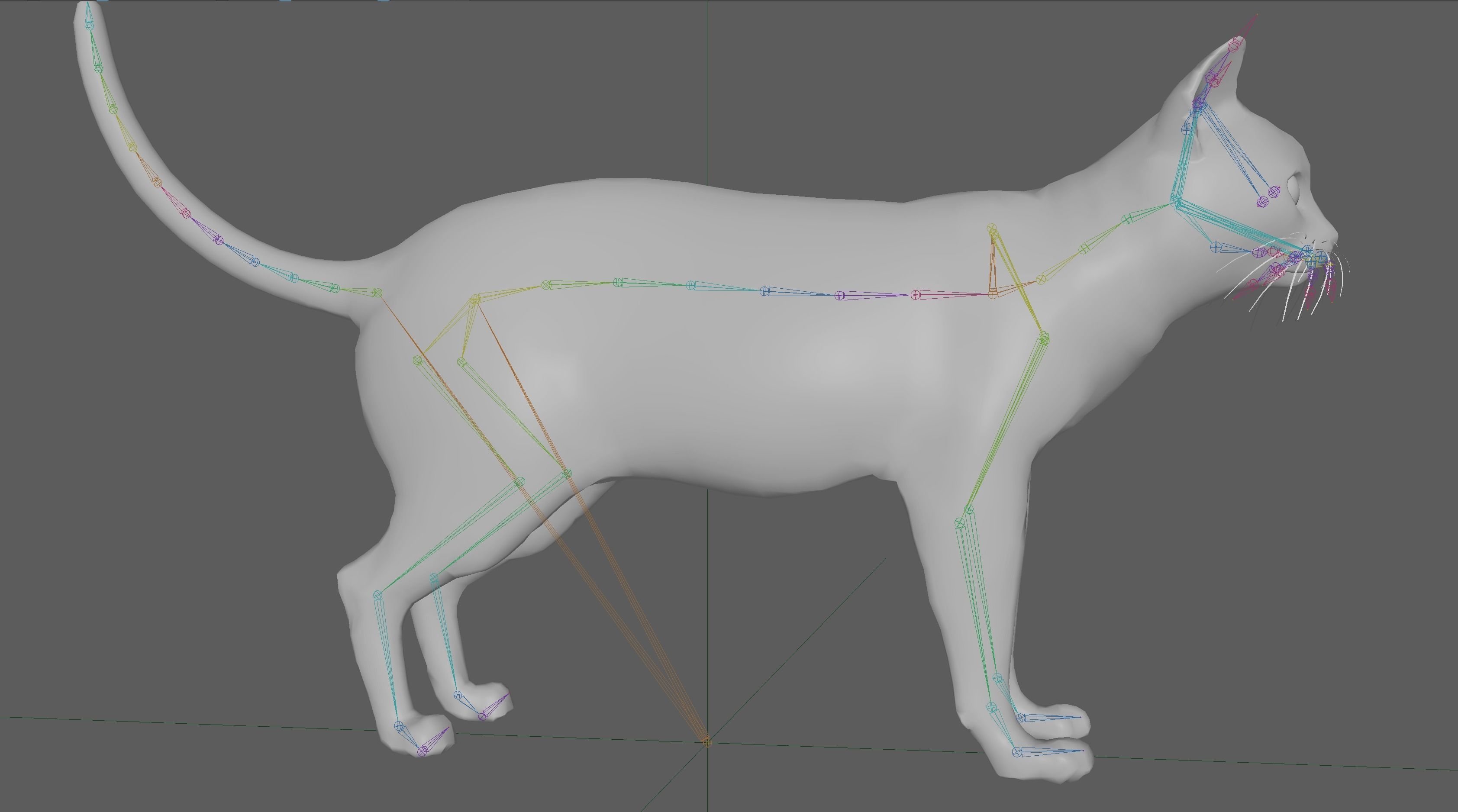3D model Cat Rig VR / AR / low-poly | CGTrader