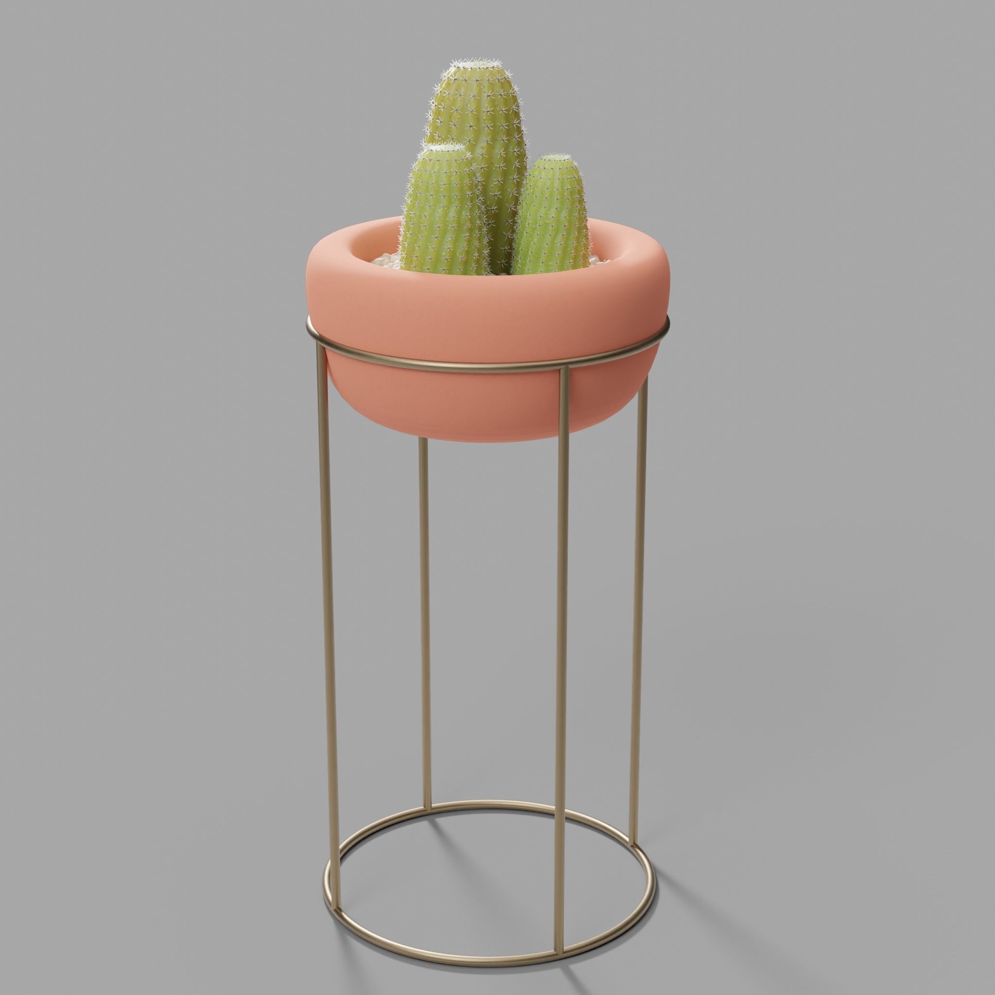 Procedural cactus free 3D model | CGTrader