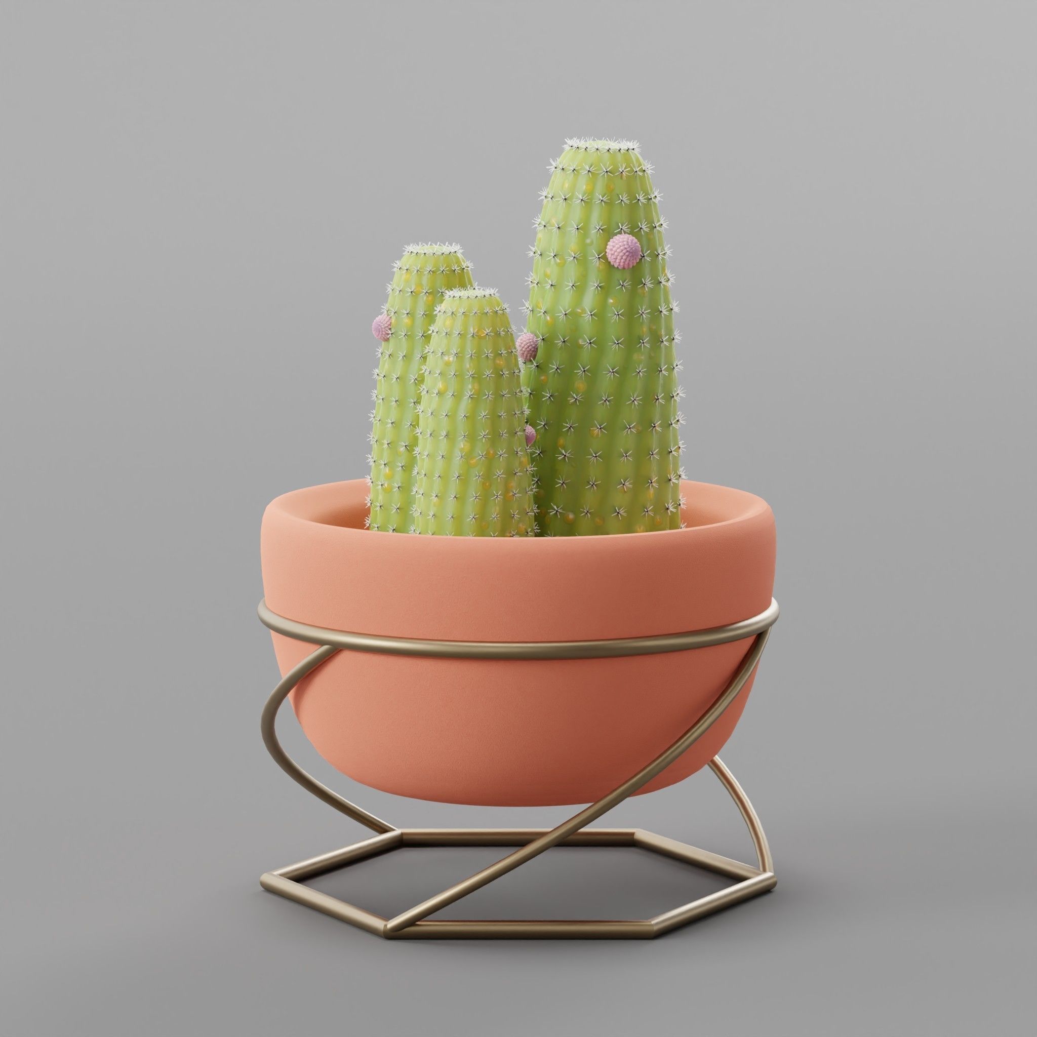 Procedural cactus free 3D model | CGTrader