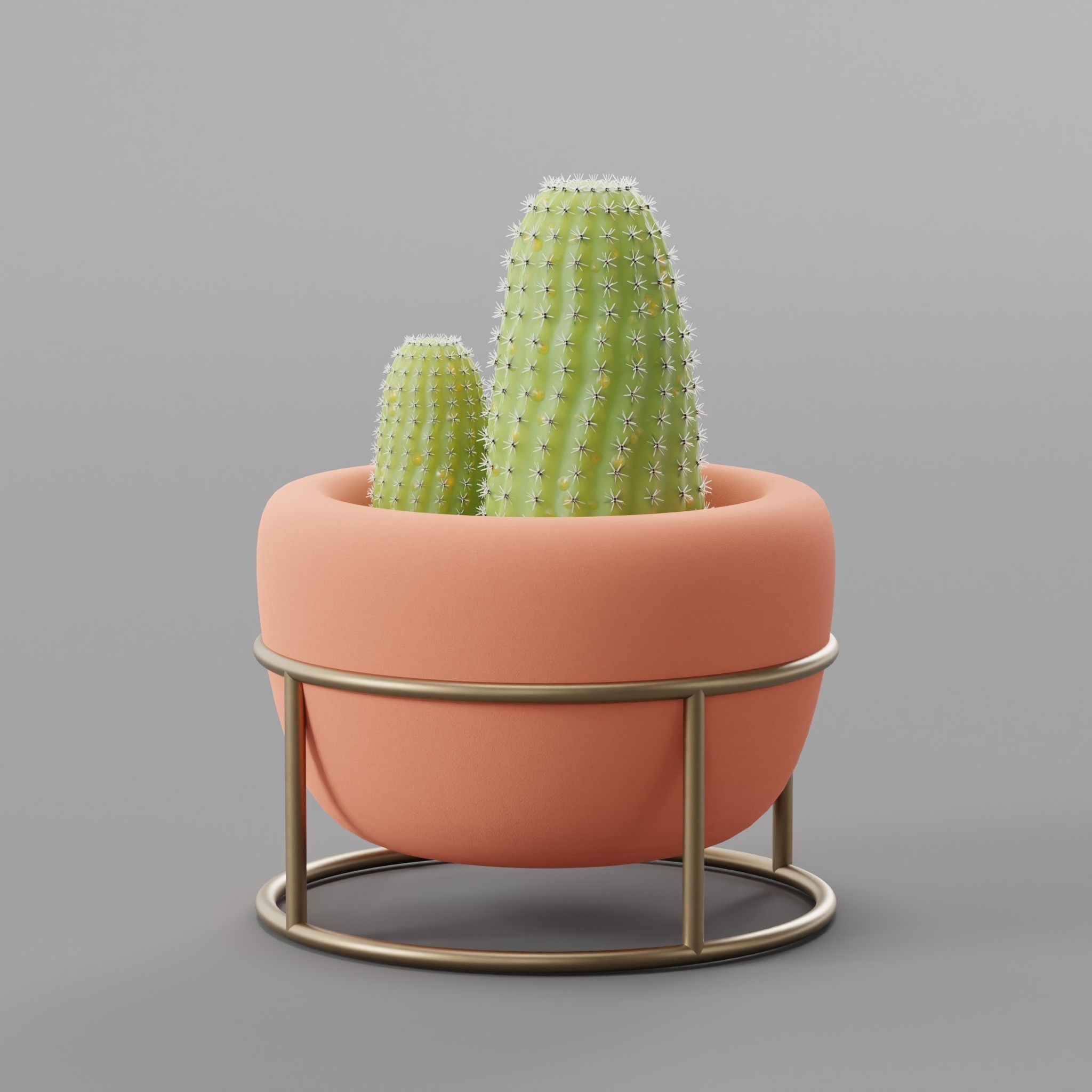 Procedural cactus free 3D model | CGTrader