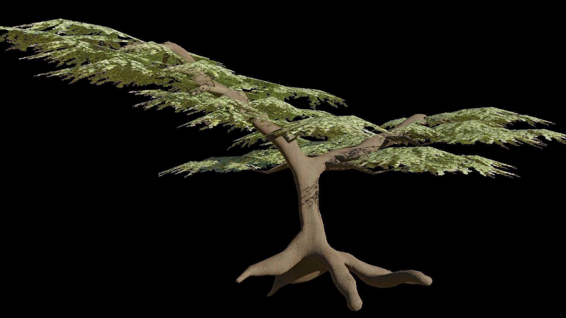 3D model One Oak Tree and One Willow Tree VR / AR / low-poly | CGTrader