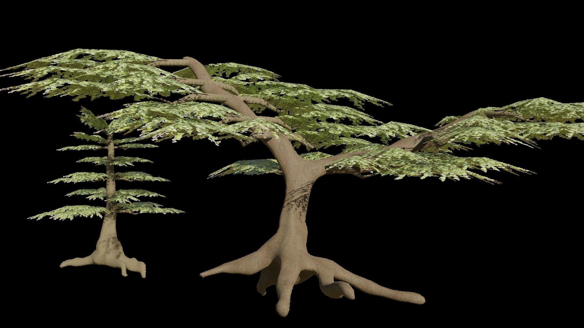 3D model One Oak Tree and One Willow Tree VR / AR / low-poly | CGTrader
