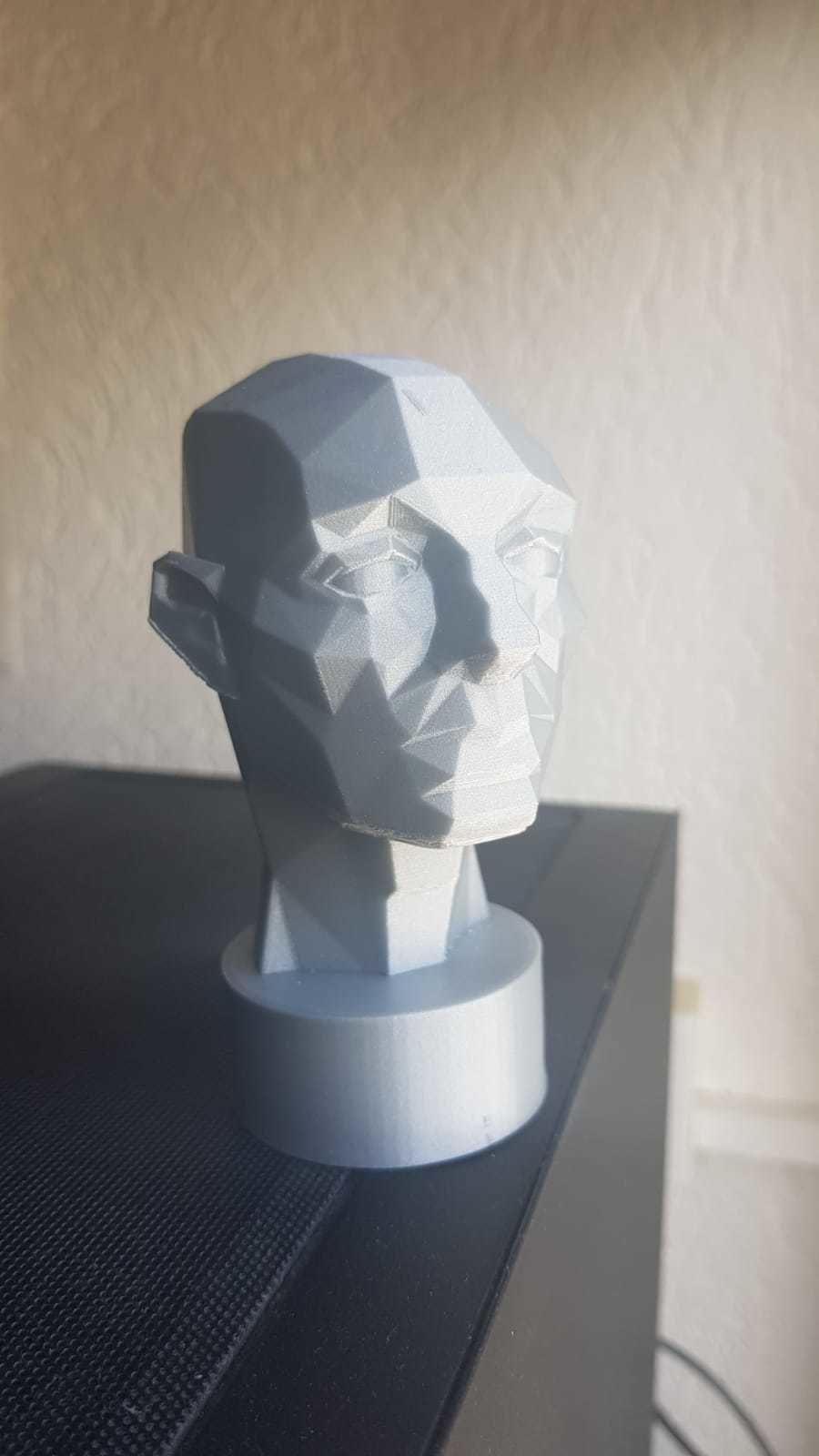 Asaro Head symmetrical 3D model 3D printable | CGTrader