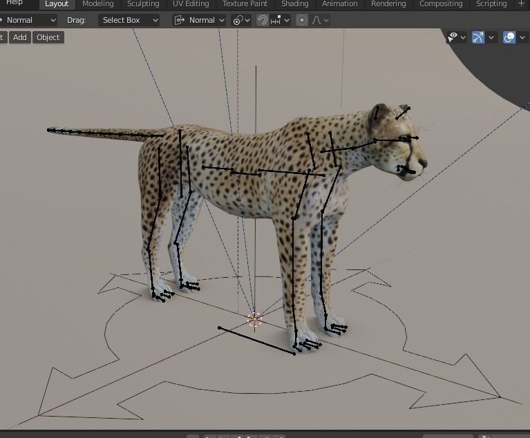 3D model Cheetah VR / AR / low-poly | CGTrader