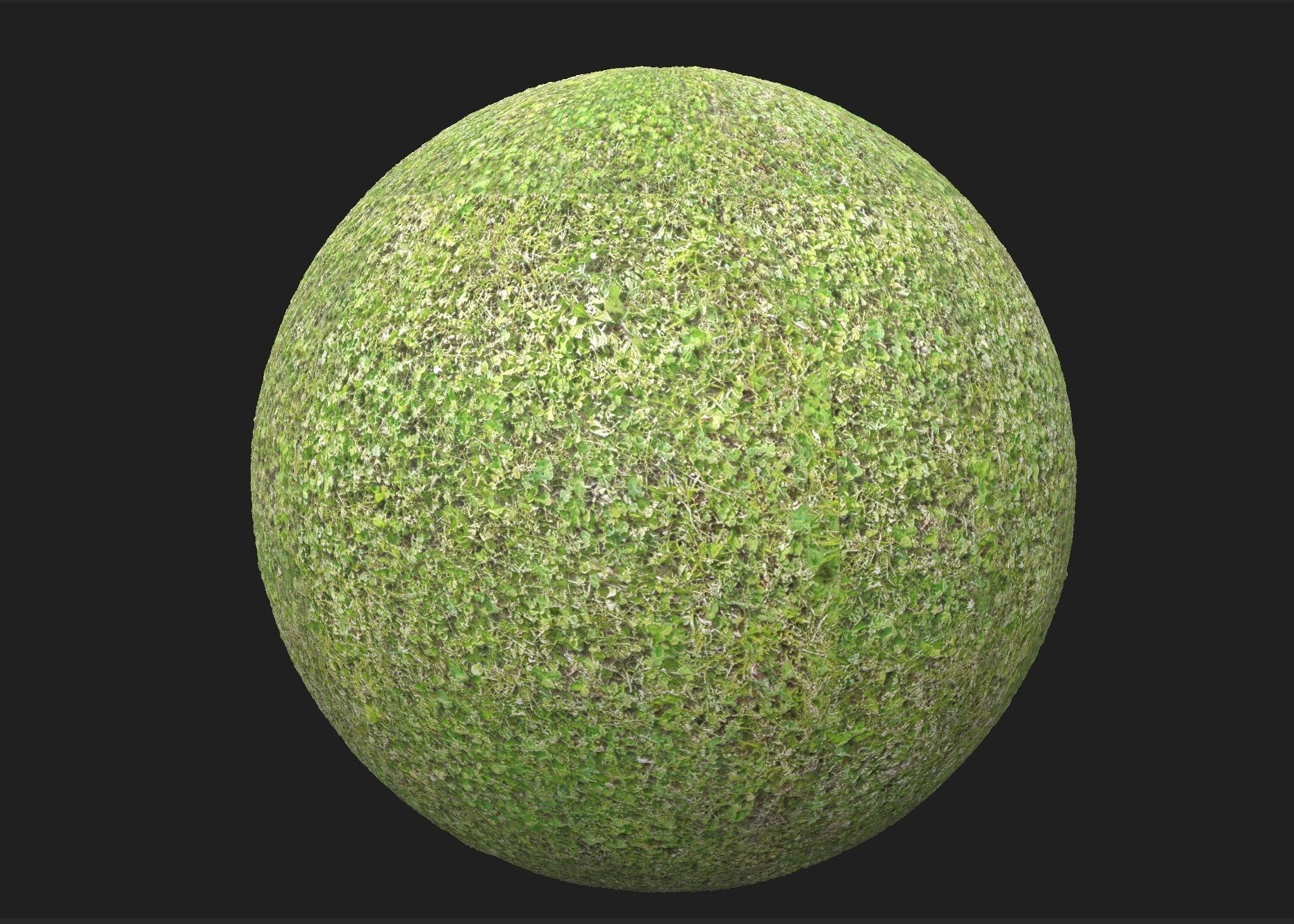 4K PBR Grass Green Texture | CGTrader