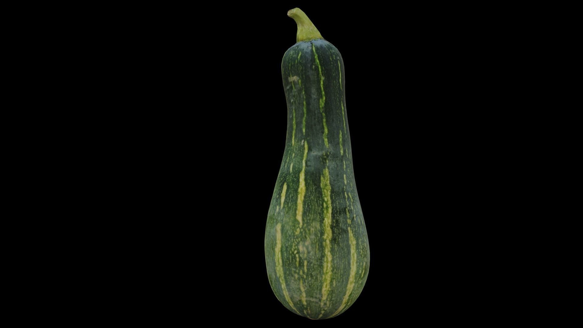 Squash Barbara Butternut 3D model | CGTrader