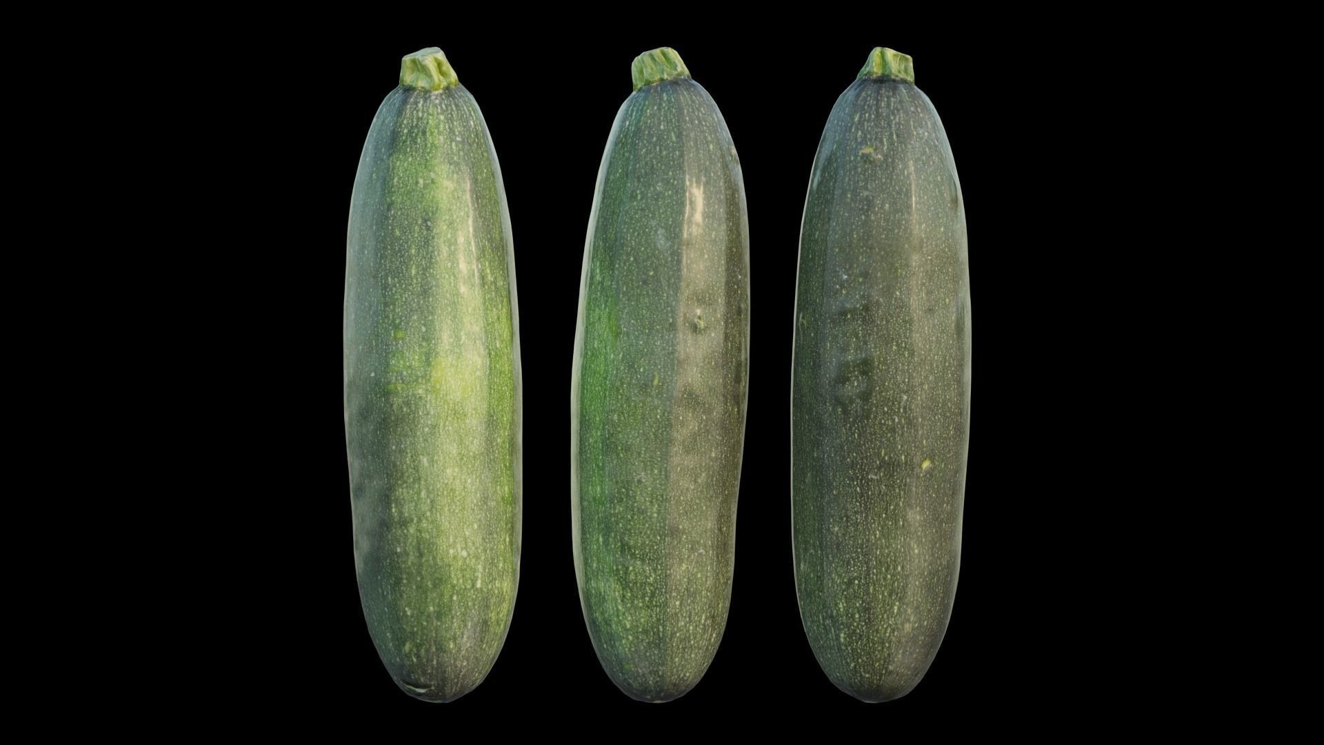Large Courgette 3D model | CGTrader