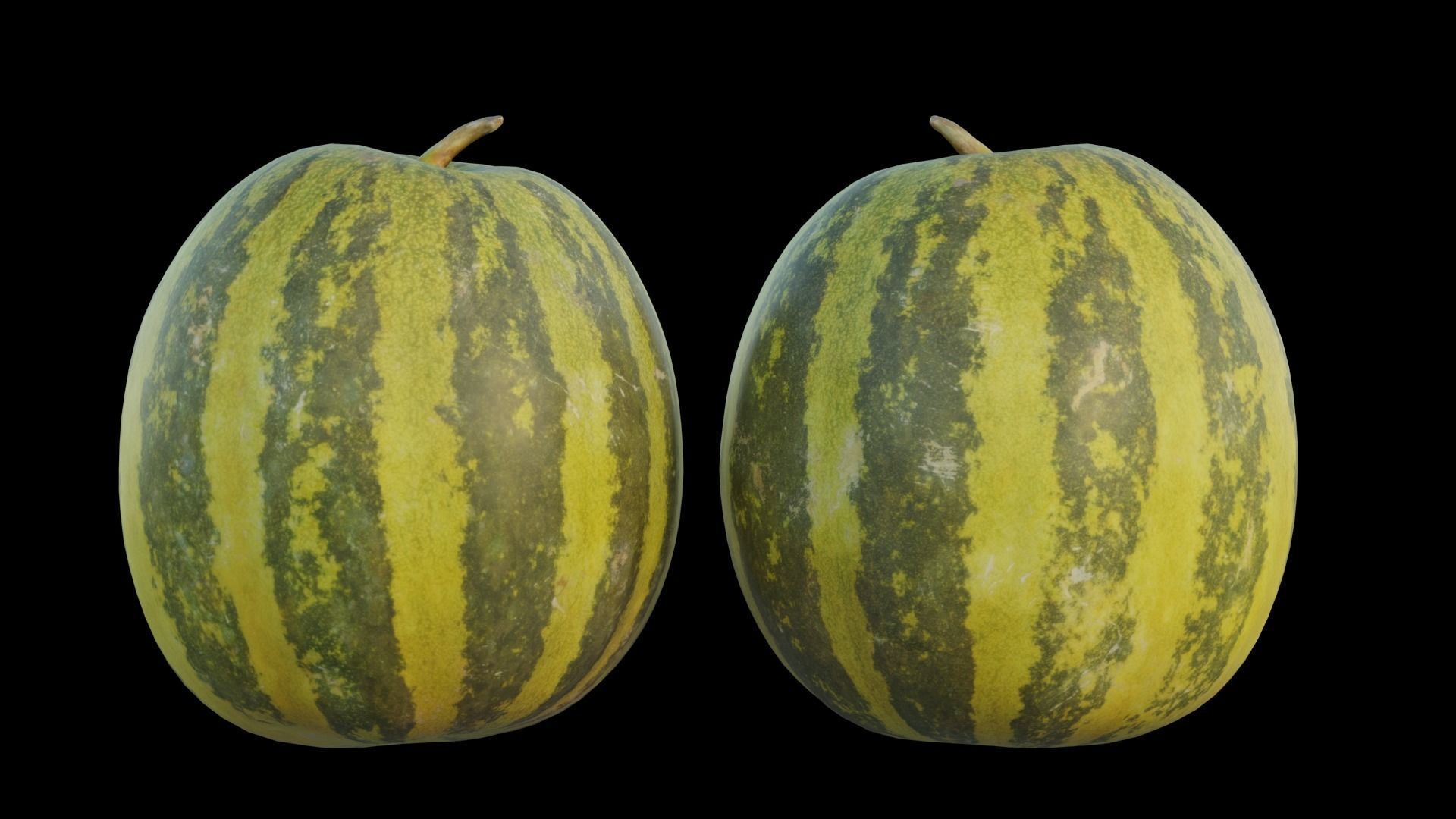 Melon watermelon 3D model | CGTrader