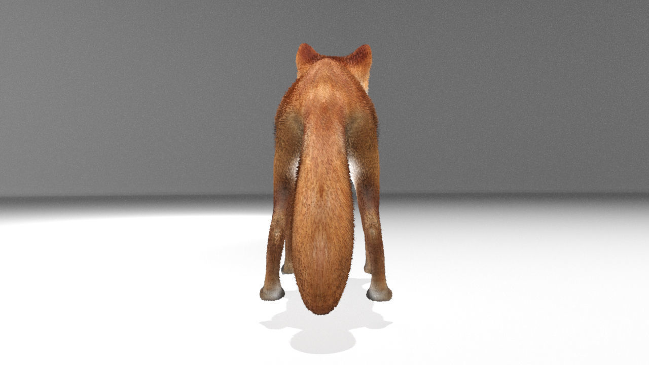 3D model This model Fox VR / AR / low-poly | CGTrader