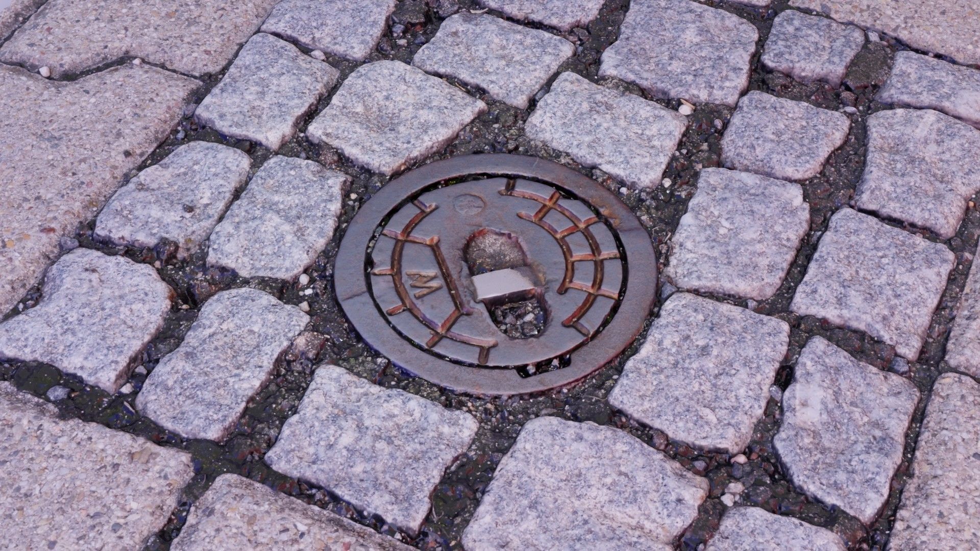 Hydrant street cover 01 high-poly 3D model | CGTrader