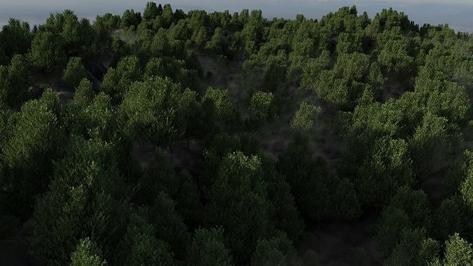 Forest Scene 3D model | CGTrader