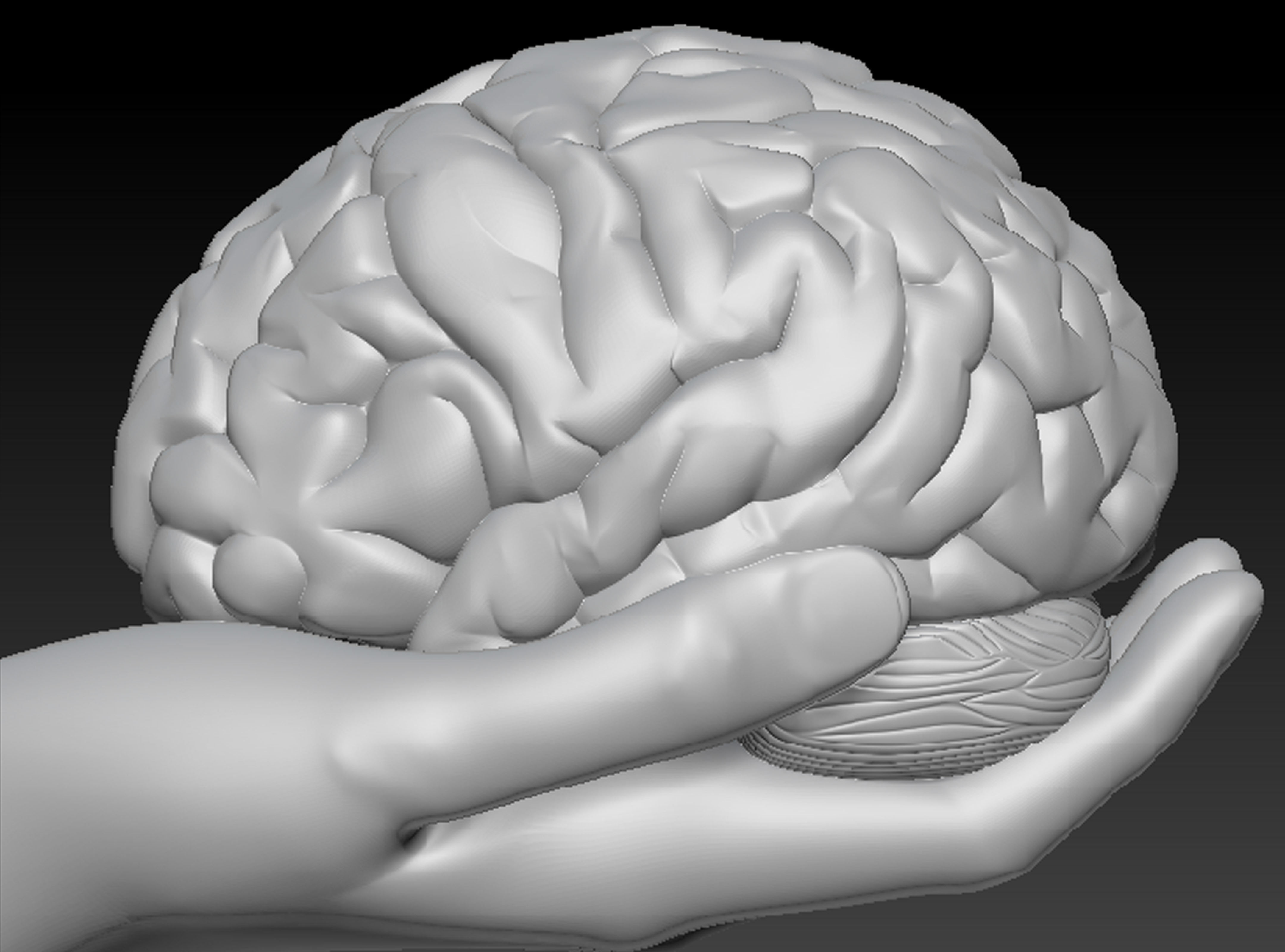Brain 3D hand holding human 3D model 3D printable | CGTrader