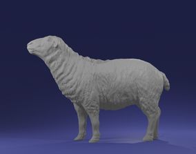 Sheep 3D Printing Models | CGTrader