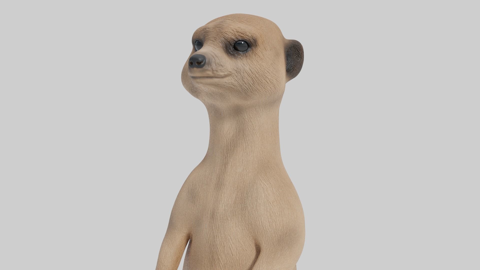 3D model 3D Meerkat Model VR / AR / low-poly | CGTrader