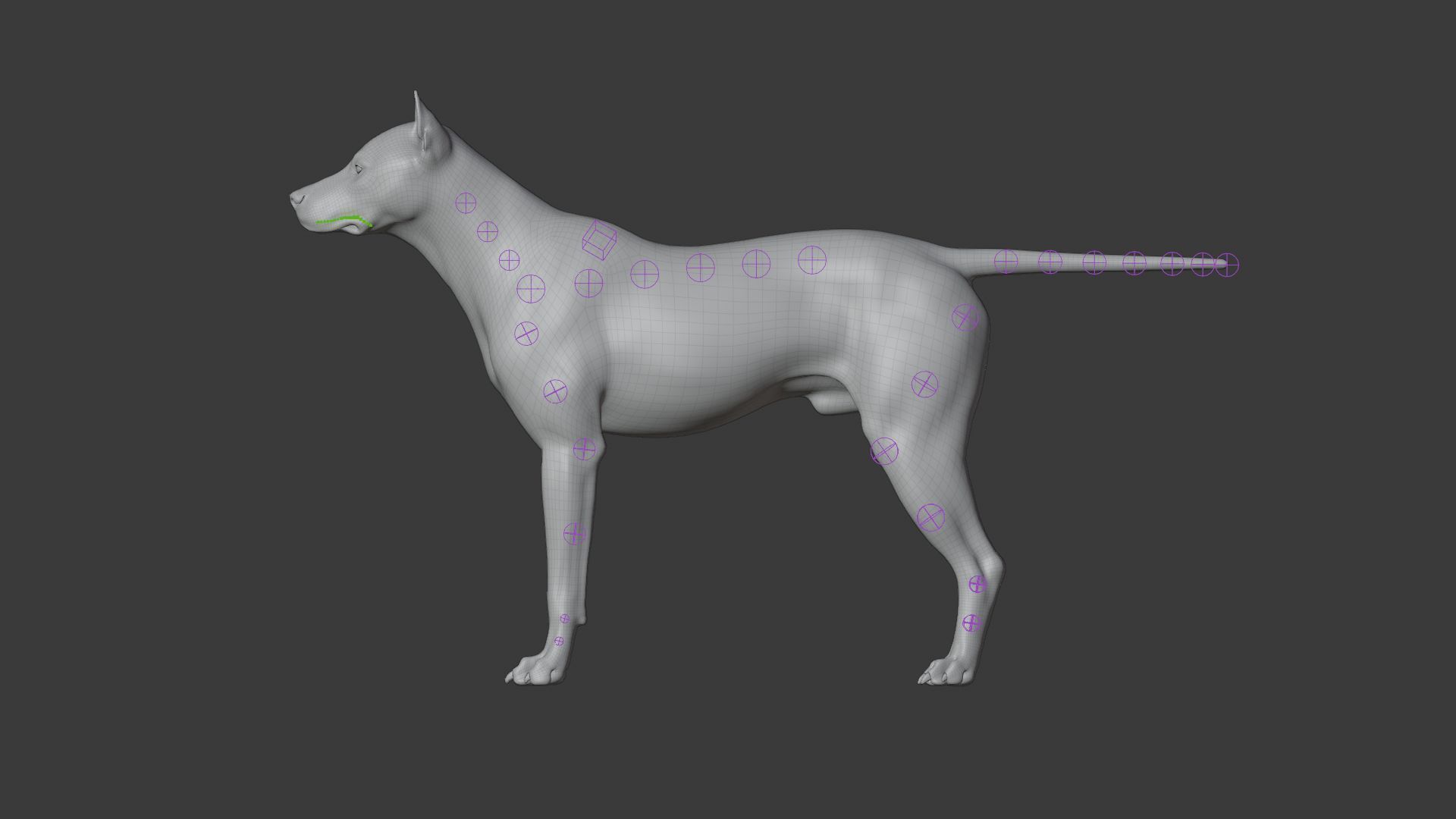 Four-Eyed Dog Animated VFX Grace 3D model animated rigged | CGTrader