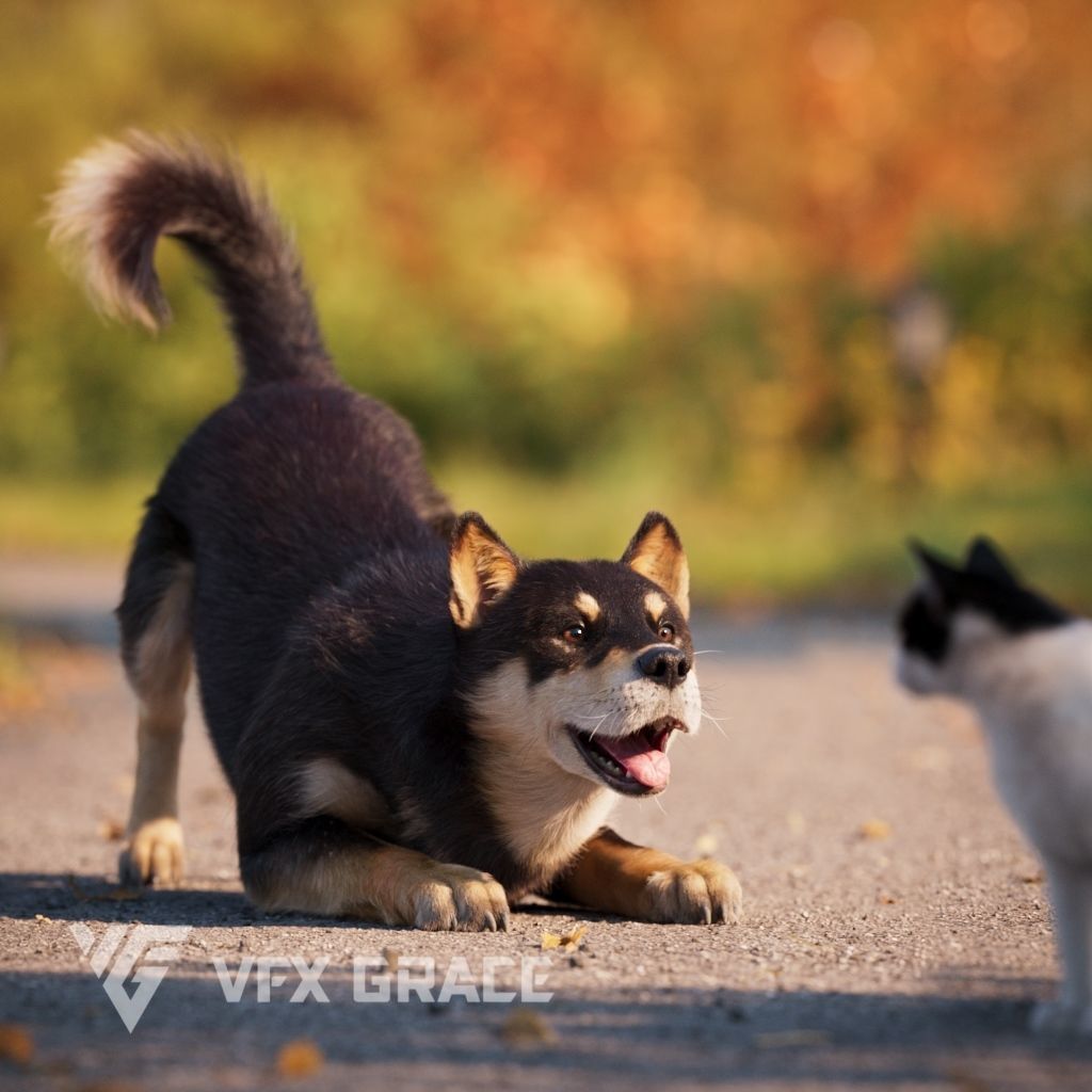 Four-Eyed Dog Animated VFX Grace 3D model animated rigged | CGTrader