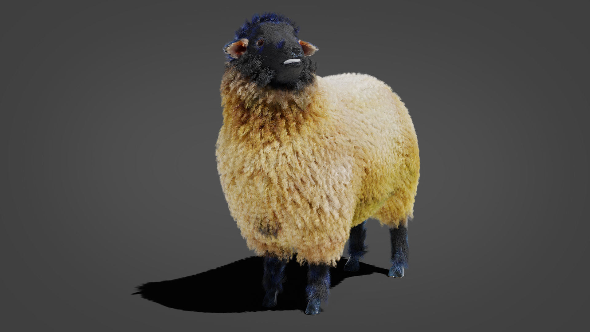 3D model Fur Sheep Rigged in Blender VR / AR / low-poly rigged | CGTrader